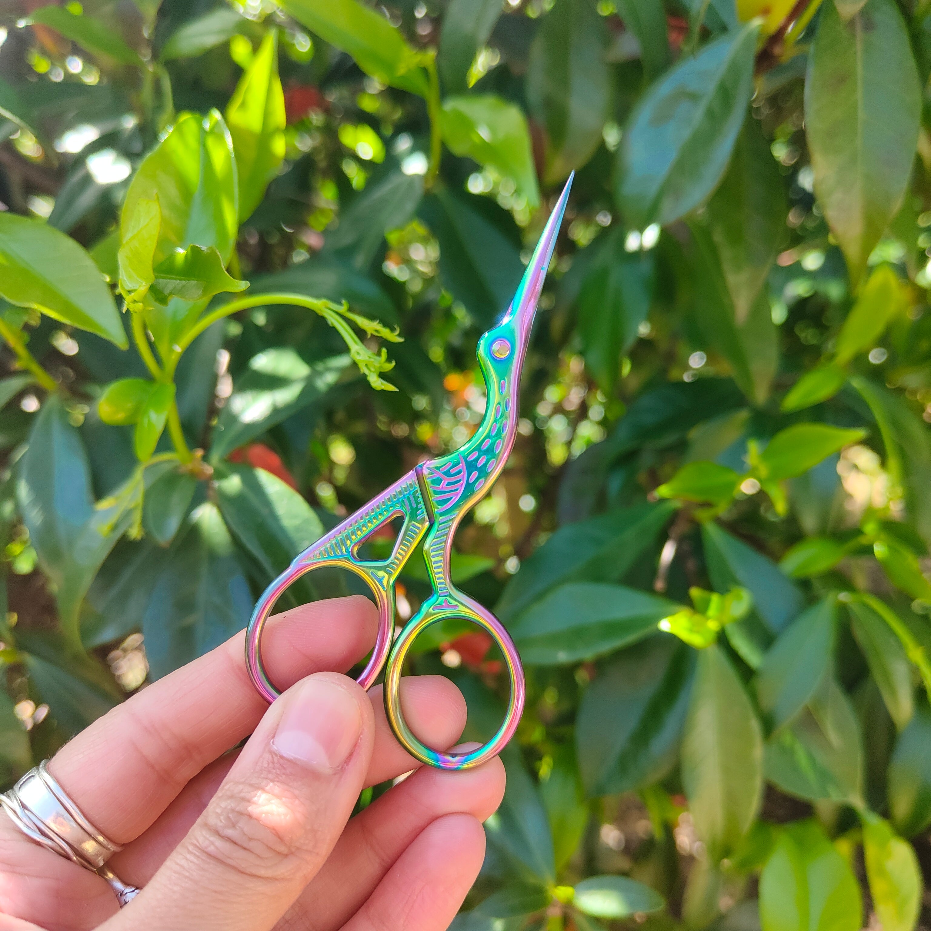 Rainbow Thread Scissors – Poppyseed Creative
